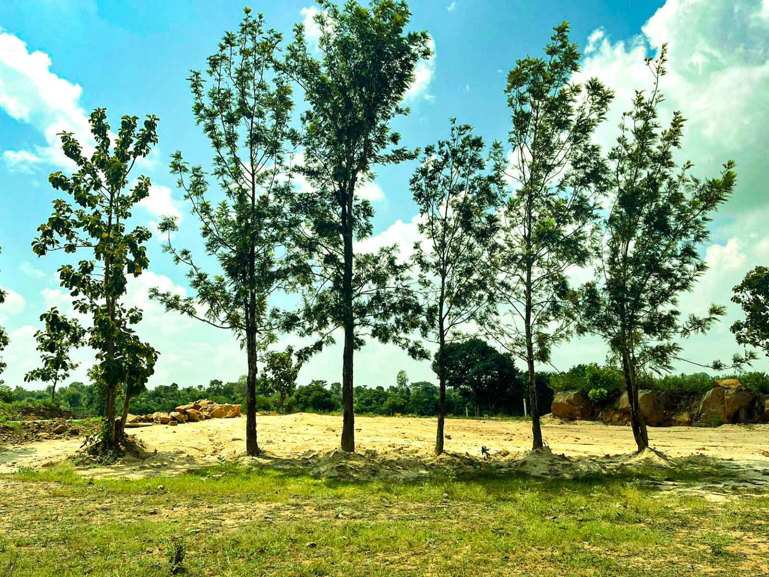 Anugraha Farms: Leading in Managed Farmlands