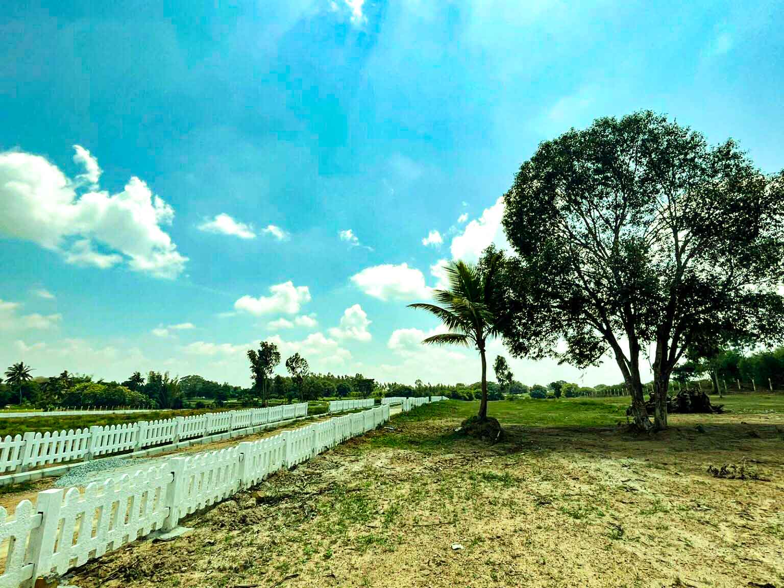 Anugraha Farms: Leading in Managed Farmlands