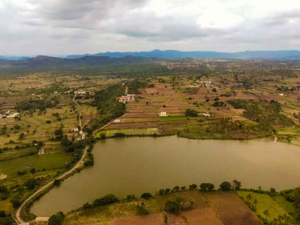 Anugraha Farms: Leading in Managed Farmlands