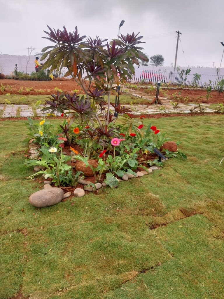 Anugraha Farms: Leading in Managed Farmlands