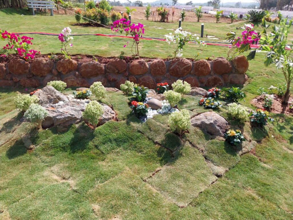 Anugraha Farms: Leading in Managed Farmlands